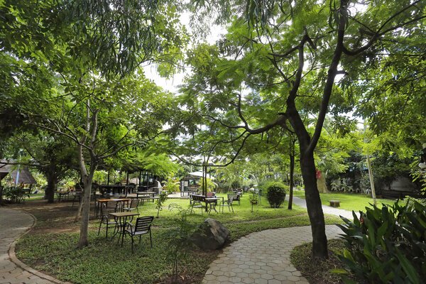 Treellion Park | Aquation