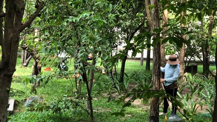 what else we do | MAADS