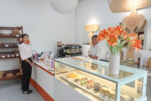 Gaato Café des Arts | Aquation
